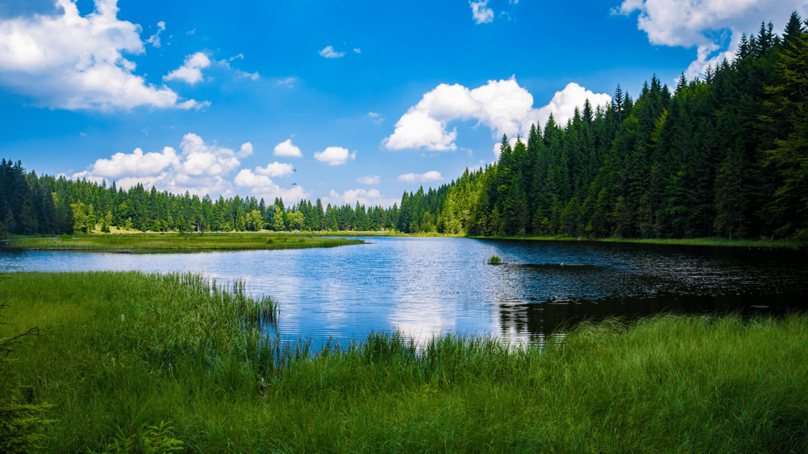 10 Danau Tertinggi di Indonesia. Paling Banyak di Papua dan Jawa Timur ...