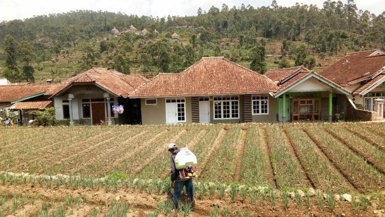 Desa Wisata Alamendah Archives - Pigiblog