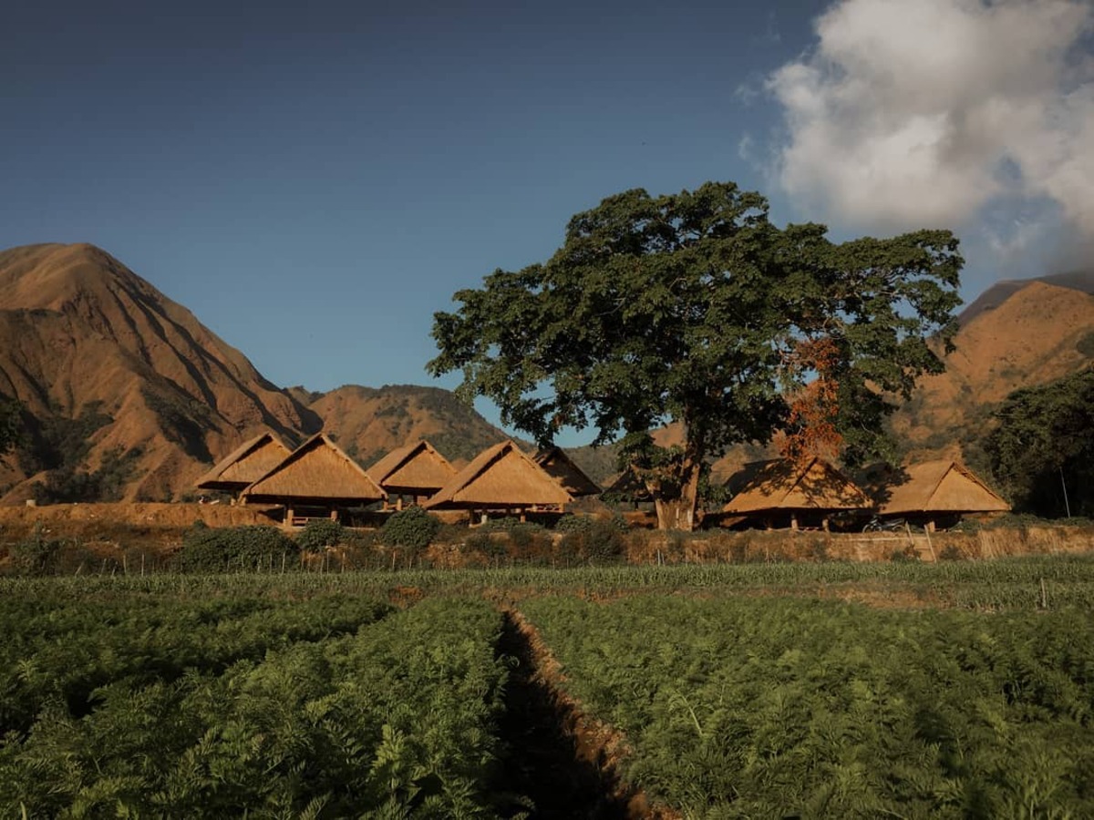 Cobain 5 Kegiatan Liburan Seru di Desa Wisata Tetebatu - Pigiblog