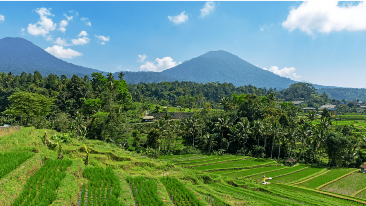 Desa Adat Bayan Archives - Pigiblog