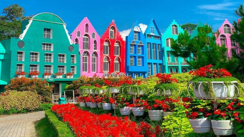 Hilangkan Penat di Taman Bunga Celosia Semarang - Pigiblog