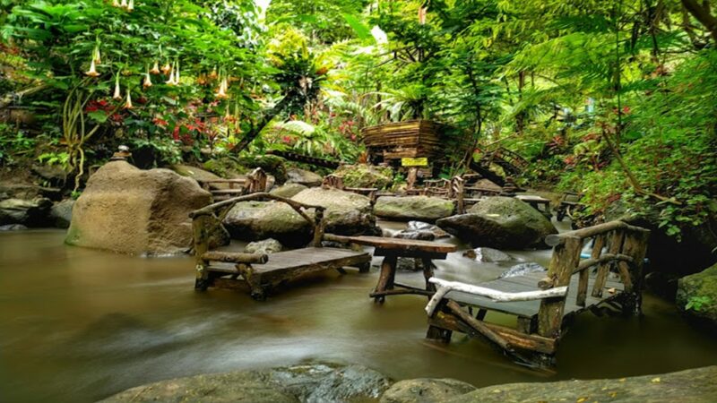 4 Cafe Nuansa Pedesaan di Malang, Ada yang Dihuni Alien - Pigiblog