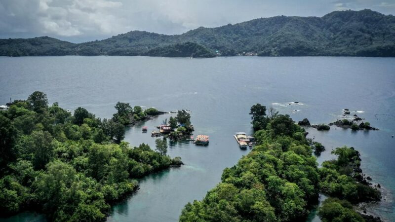 3 Rekomendasi Wisata Pulau Lembeh, Penggemar Fotografi Bawah Laut Wajib ...