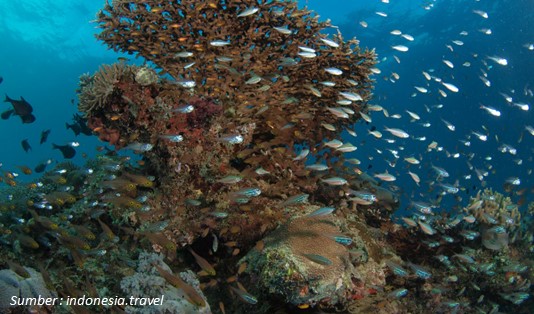 Pantai Tanjung Waka di Maluku Utara, Indahnya 100% Otentik! - Pigiblog